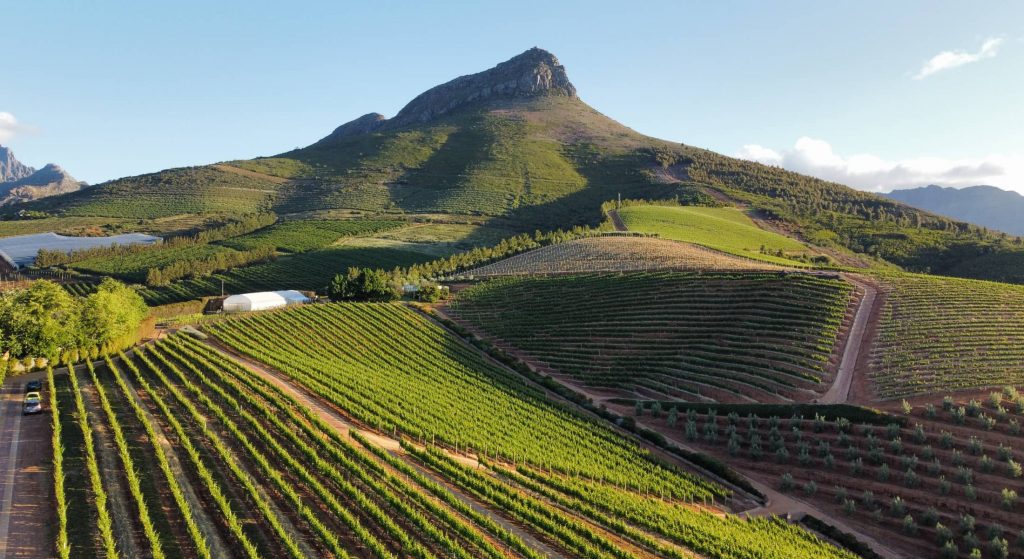 Stellenbosch Wine Region | Attractions | Cape Grace Hotel